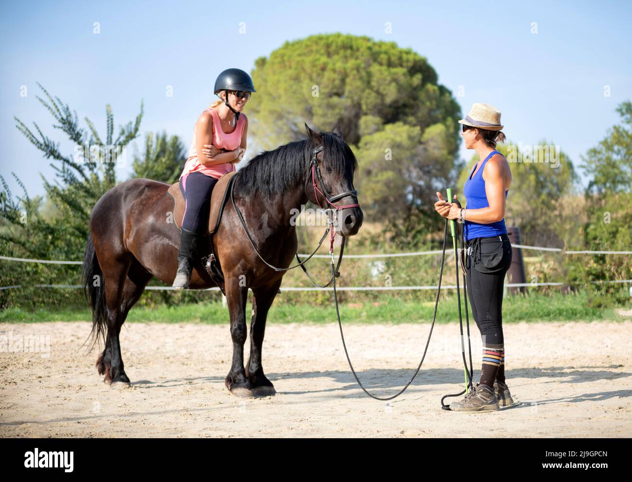 riding girl are training her black horse Stock Photo - Alamy