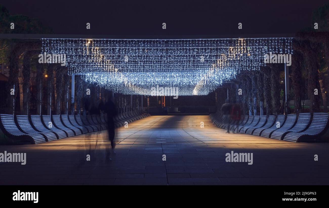 Silhouette of people walking along the night alley in park illuminated ...