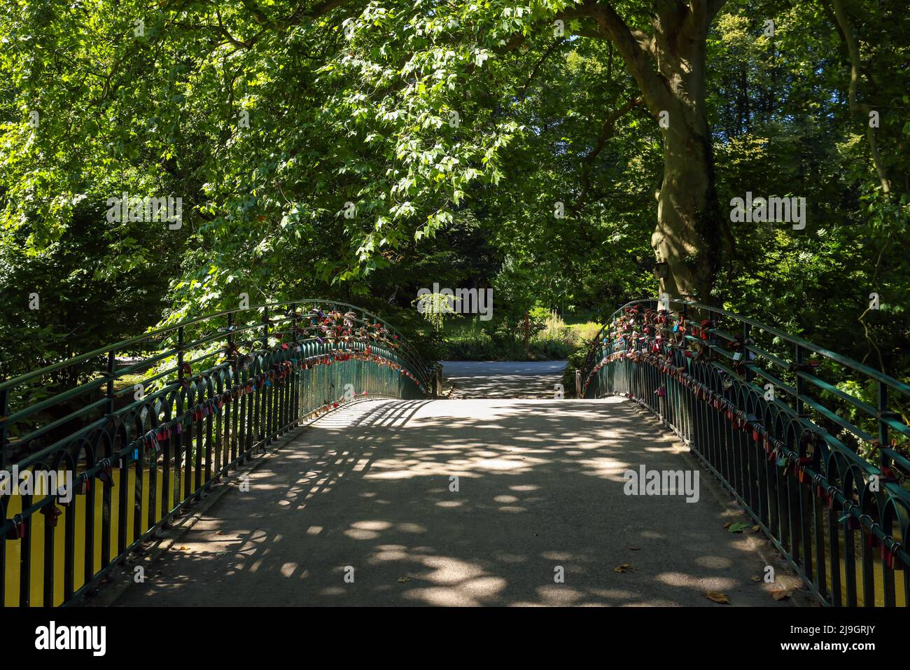 Rombergpark botanical garden hi-res stock photography and images - Alamy