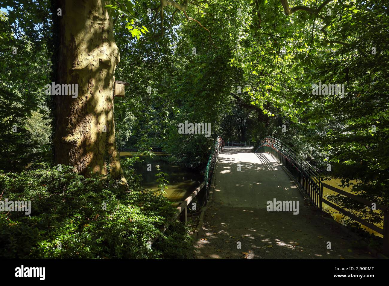 Dortmund, North Rhine-Westphalia, Germany - Rombergpark. Walk across a ...