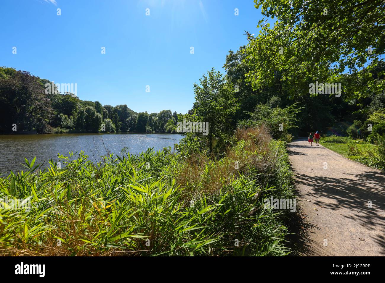 Dortmund, North Rhine-Westphalia, Germany - Rombergpark. Walk by the ...