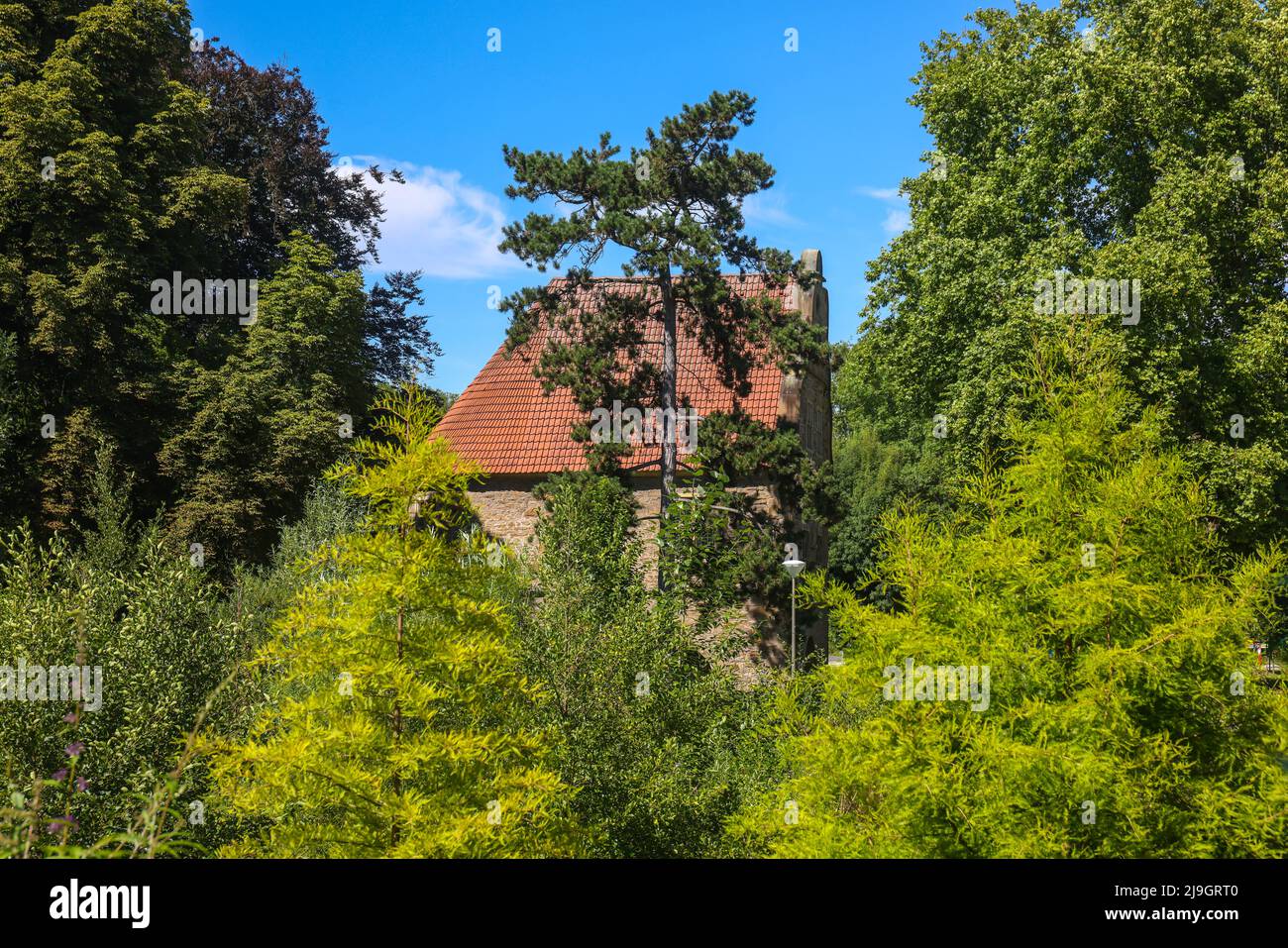 Dortmund, North Rhine-Westphalia, Germany - Rombergpark. Romberg Gate ...
