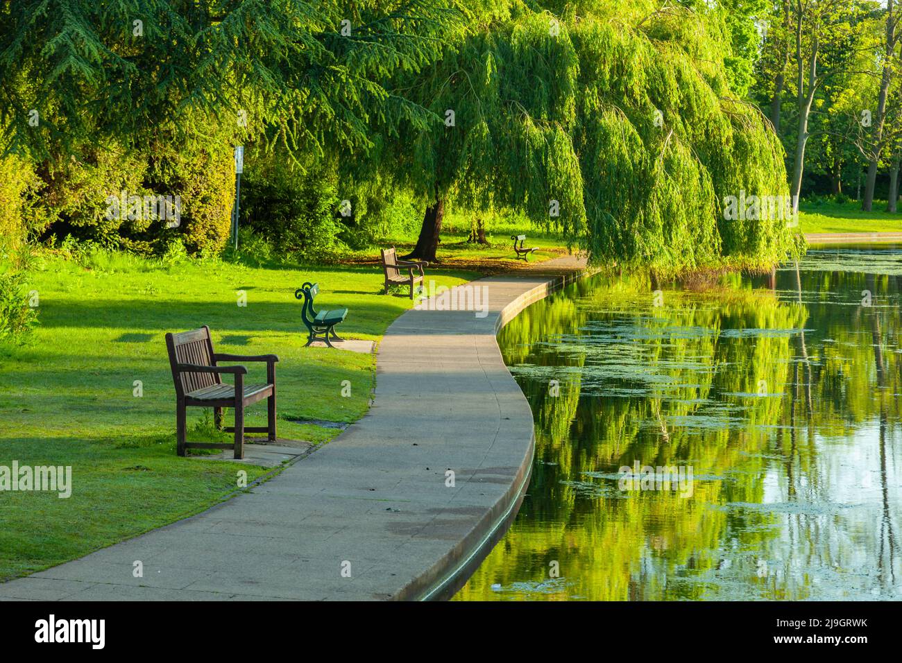 Spring morning in Rowntree Park, York, North Yorkshire, England Stock ...
