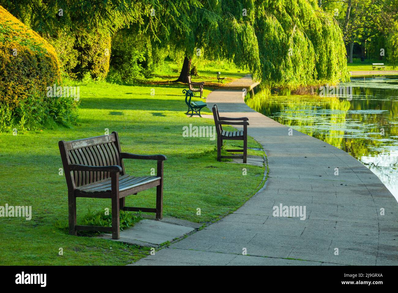 Green trees in spring park hi-res stock photography and images - Alamy
