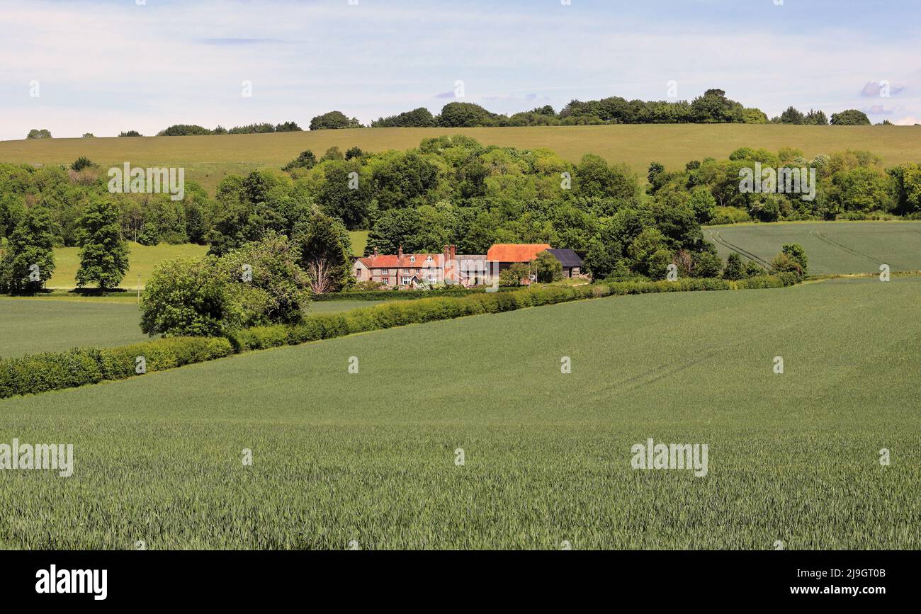 Chiltern landscape in oxfordshire hi-res stock photography and images ...