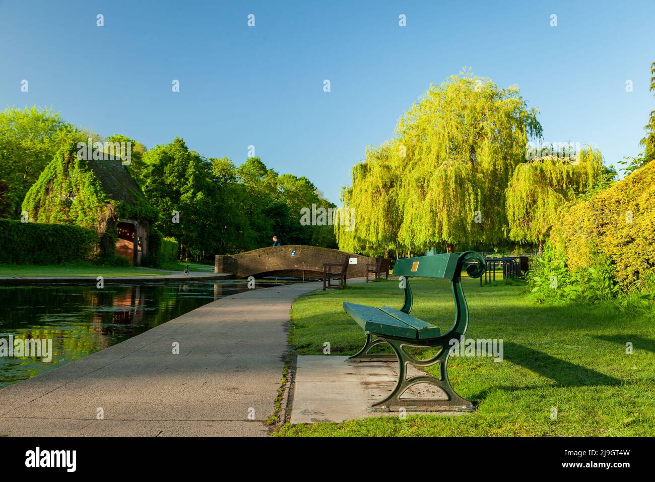 Spring morning in Rowntree Park, York, England Stock Photo - Alamy