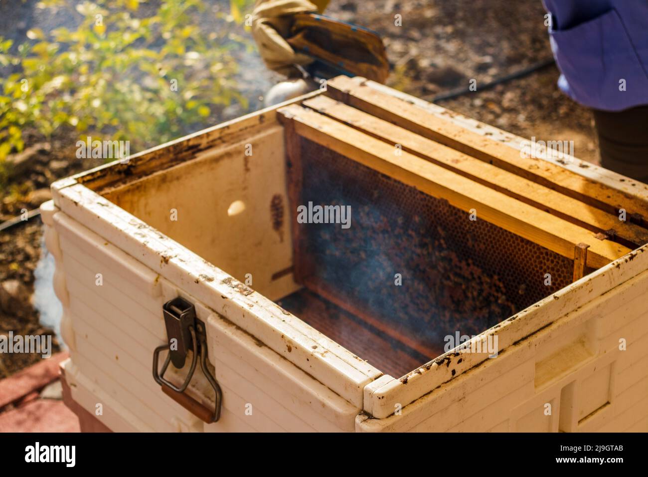 Shot of a open plastic bee hive Stock Photo - Alamy