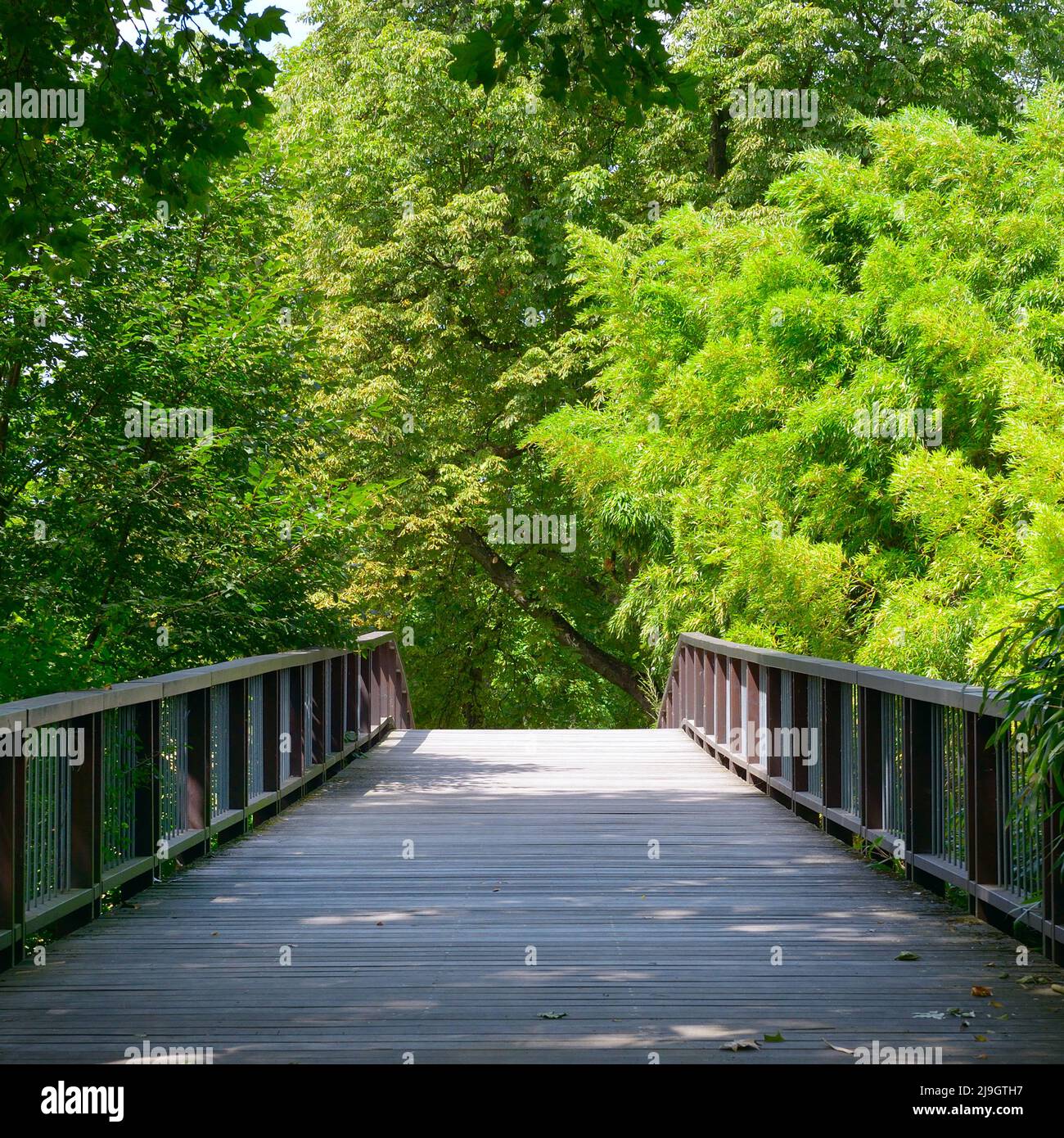Summer garden sunshine countryside hi-res stock photography and images ...