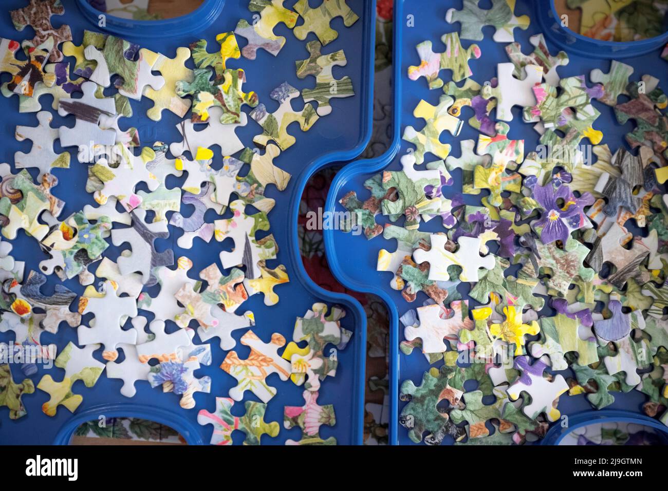 Display of jigsaw puzzle on the board Stock Photo - Alamy