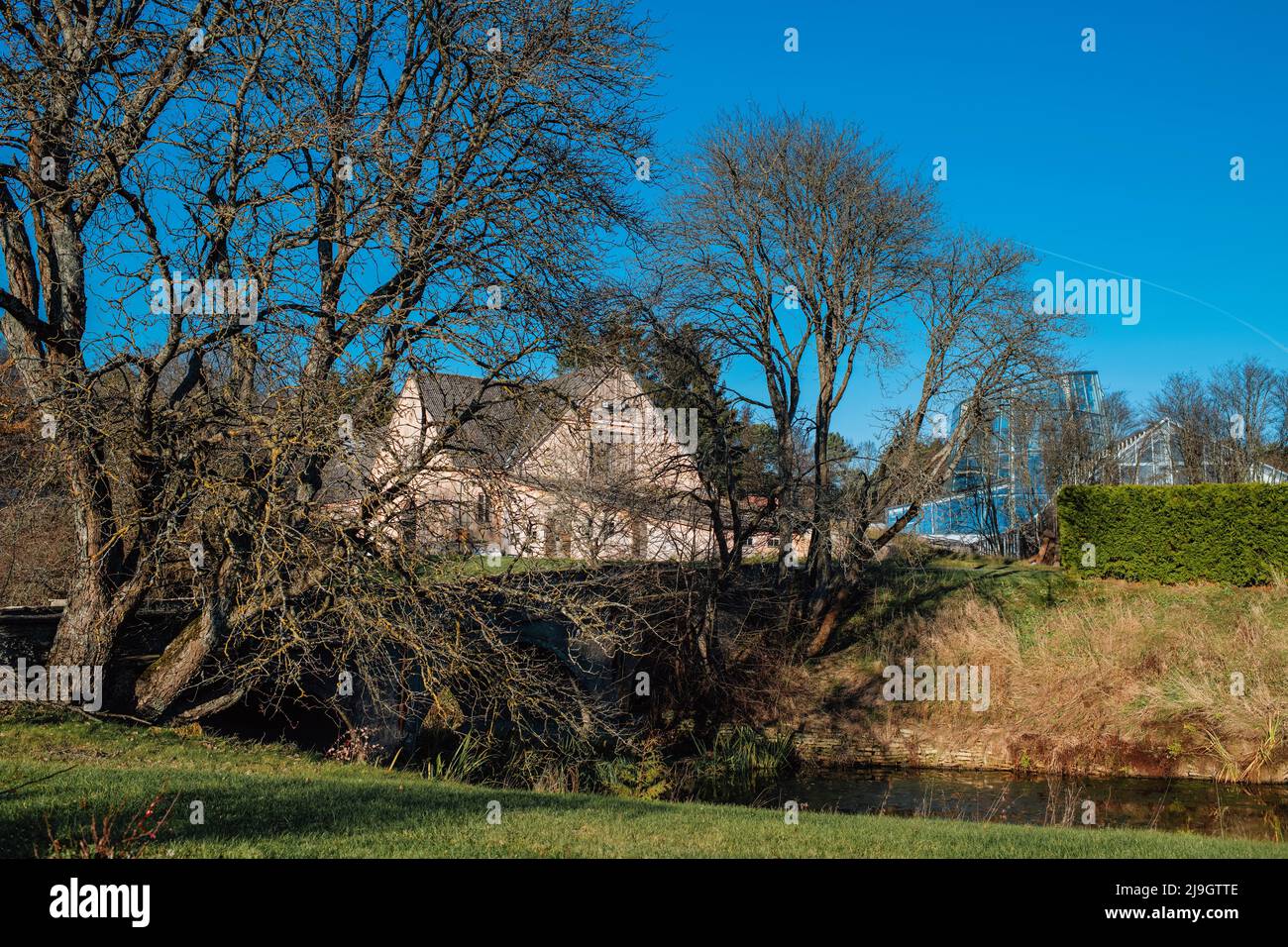 Tallinn botanical garden hi-res stock photography and images - Alamy