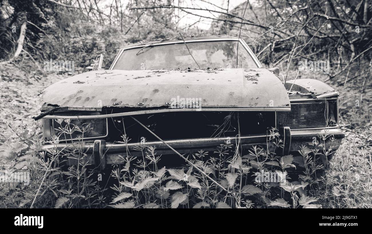 Old abandoned Ford cars dumped in the forest somewhere in Belgium Stock ...