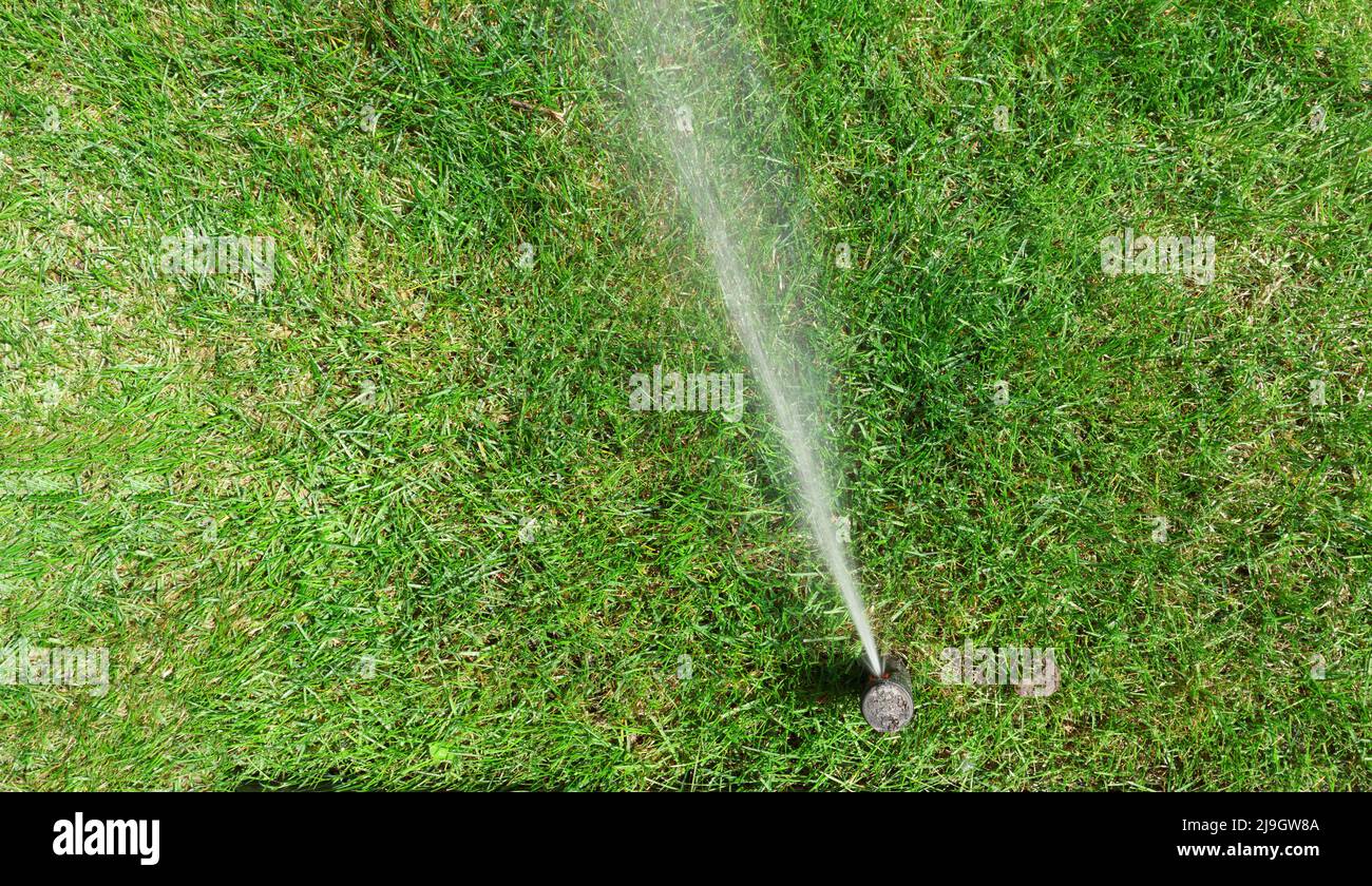 Garden irrigation system lawn. Automatic lawn sprinkler watering green ...