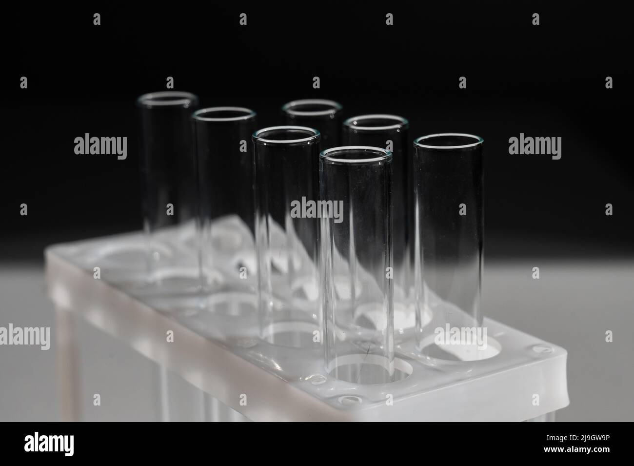 Empty test tubes in a rack on a white background Stock Photo - Alamy