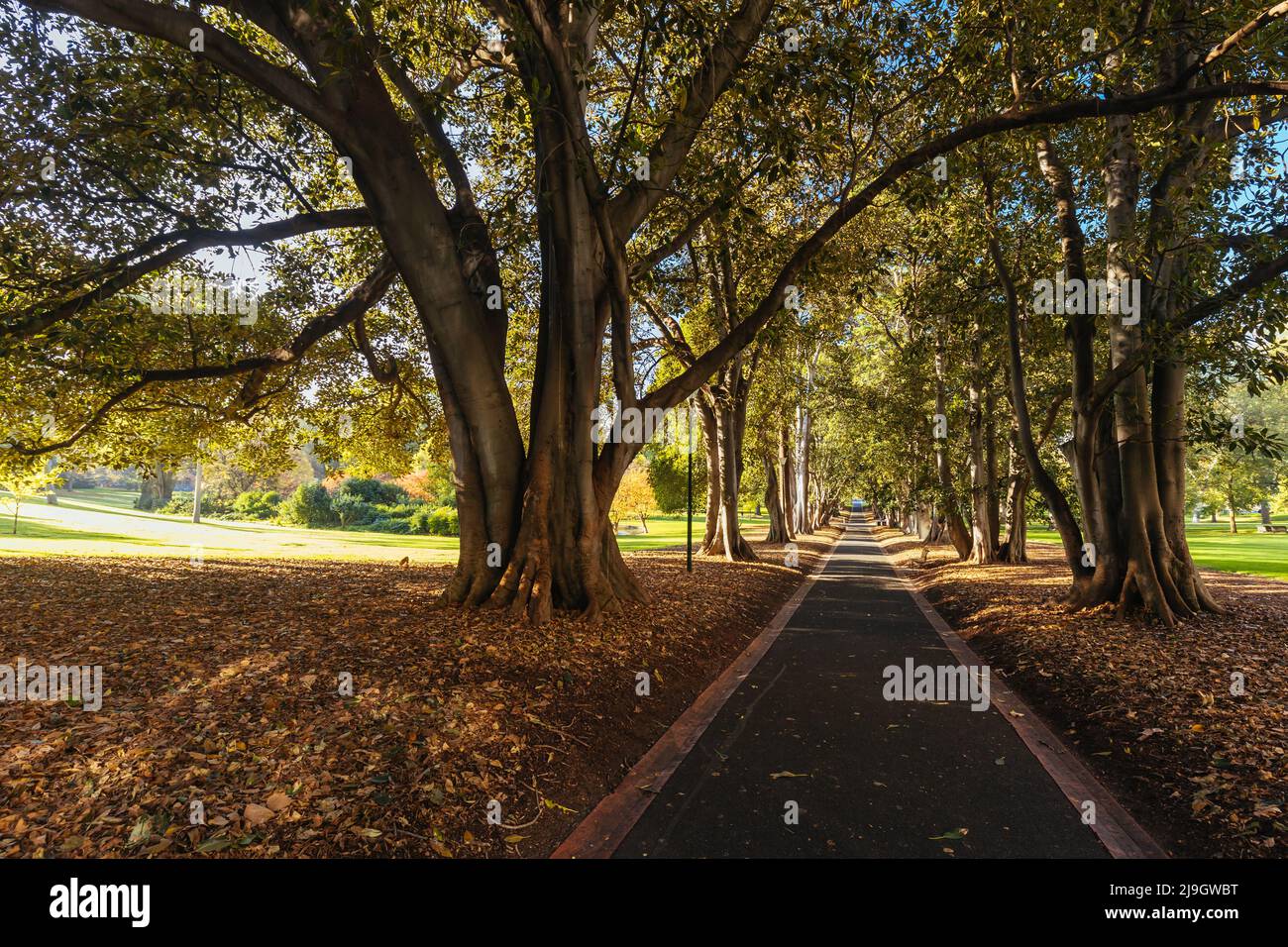 Treasury gardens hi-res stock photography and images - Alamy