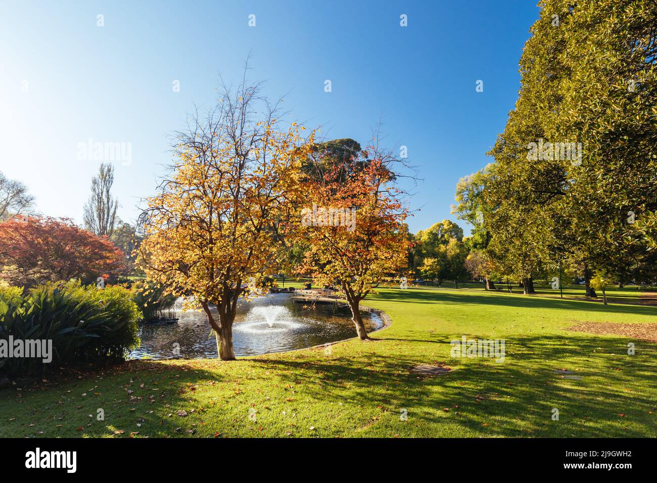 Treasury Gardens in East Melbourne Victoria Australia Stock Photo - Alamy