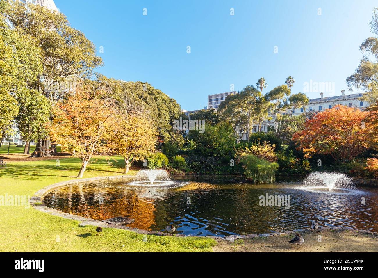 Treasury Gardens in East Melbourne Victoria Australia Stock Photo - Alamy