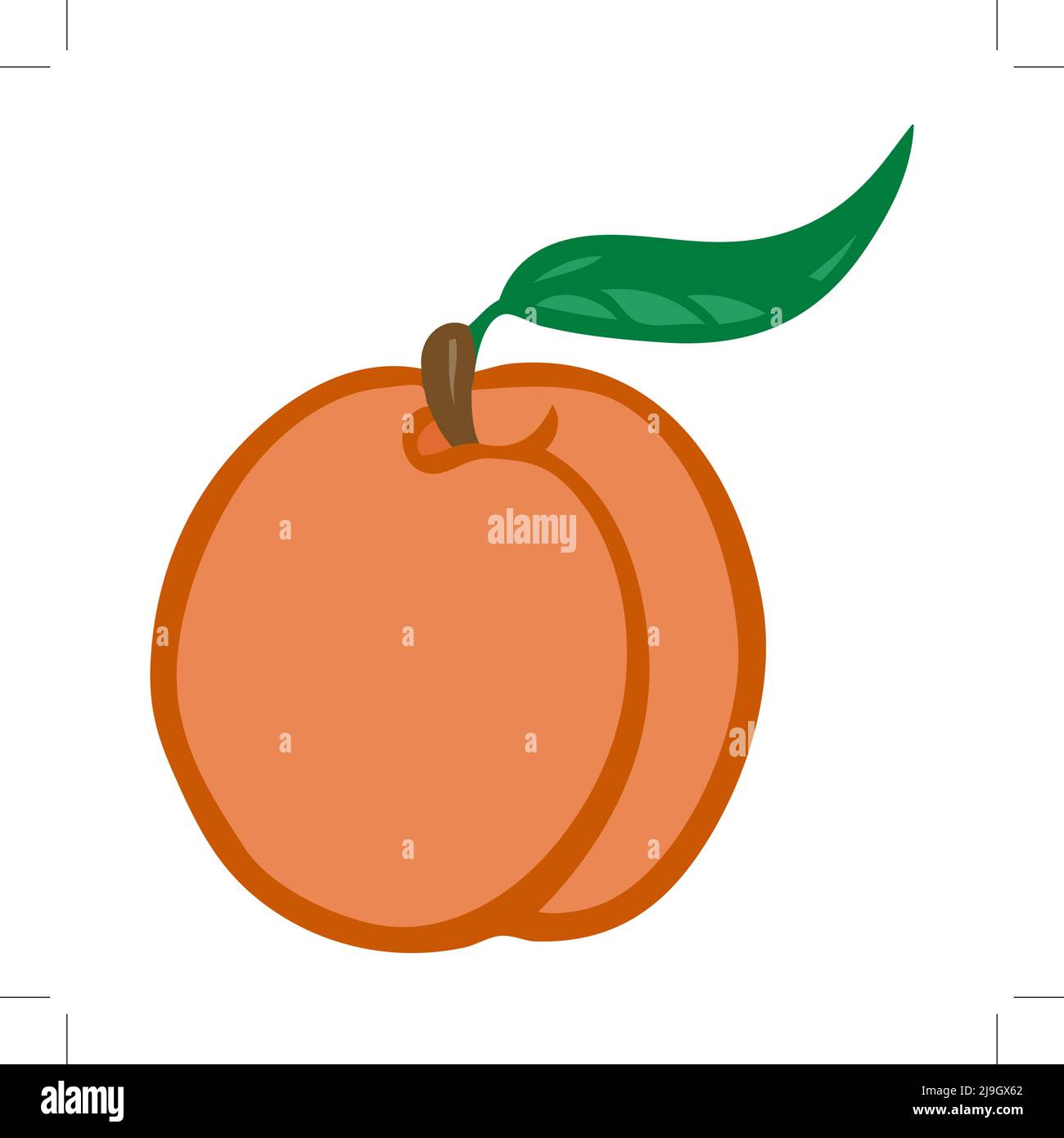 Peach. Isolated object. Flat image vector illustration Stock Vector ...