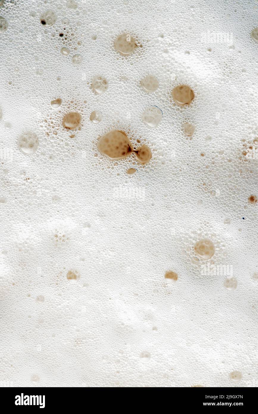Beer foam top view. Soft fresh Foam on light beer. Bubble froth of beer ...