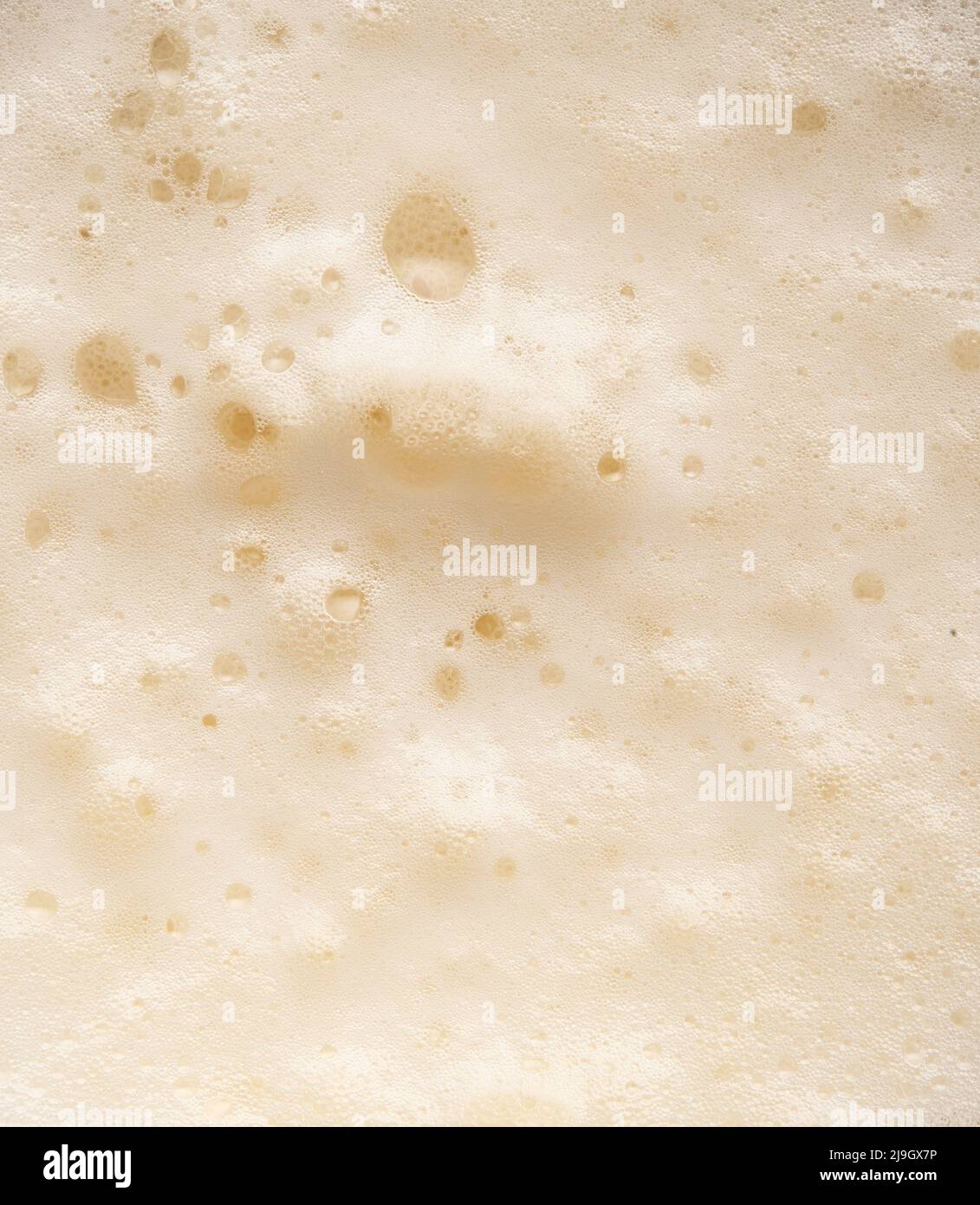 Beer Froth Texture