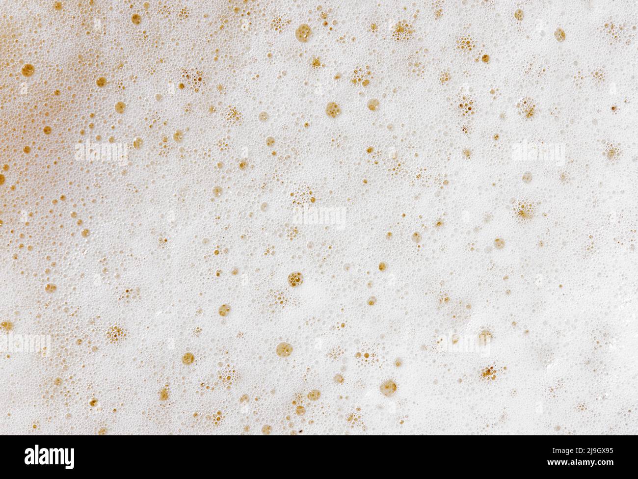 Beer foam top view. Soft fresh Foam on light beer. Bubble froth of beer ...