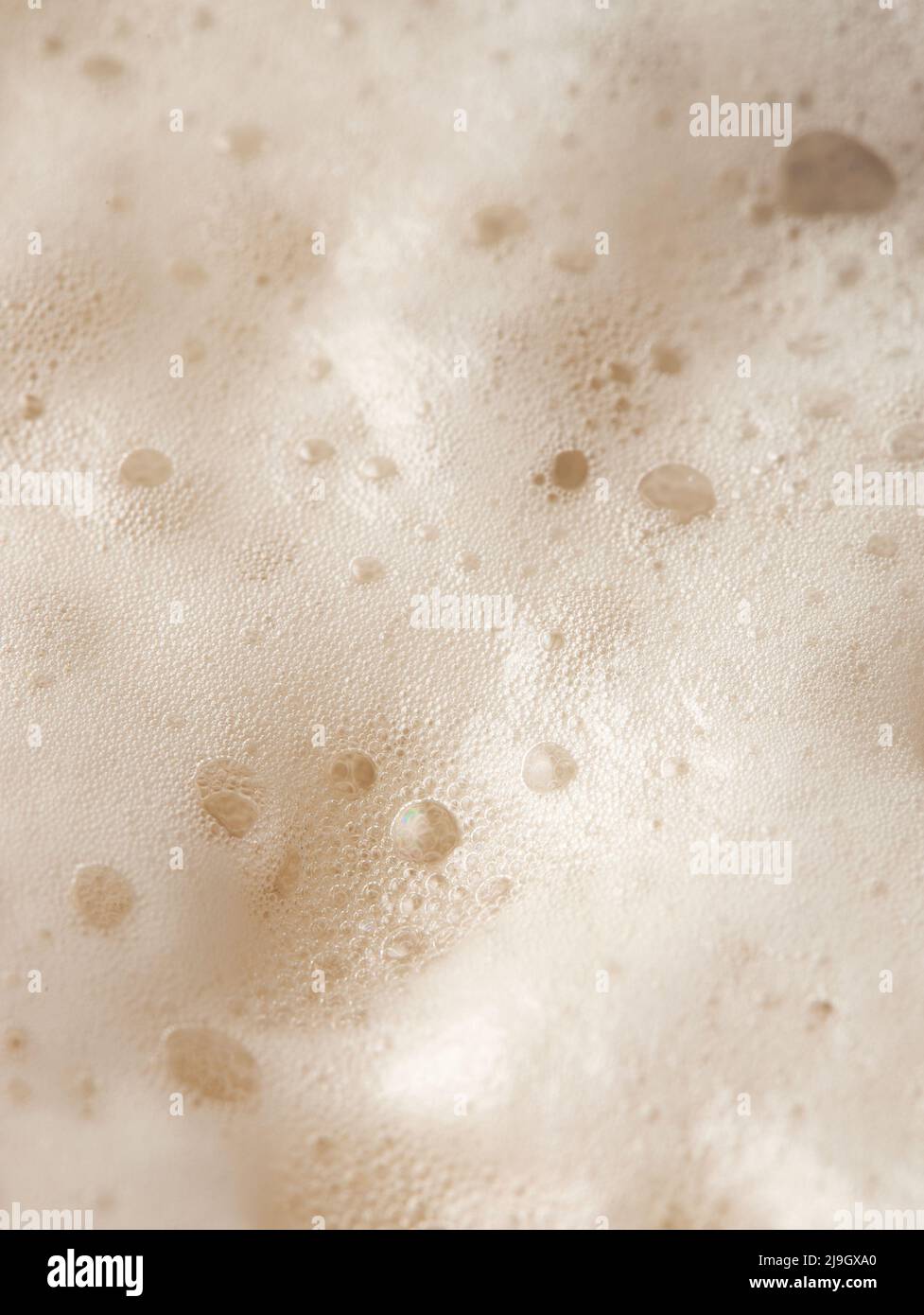 Beer foam top view. Soft fresh Foam on light beer. Bubble froth of beer ...