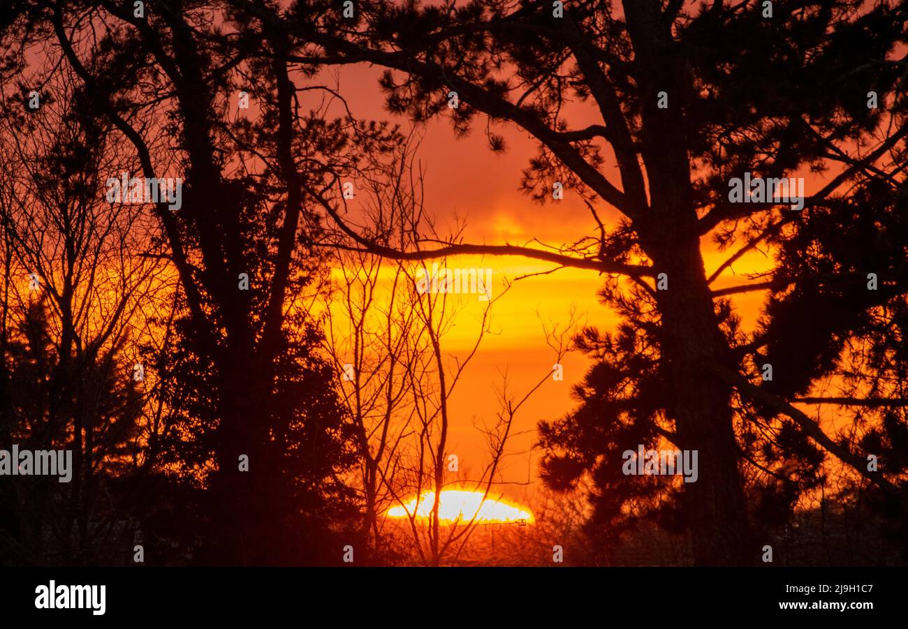 Sun setting through trees hi-res stock photography and images - Alamy