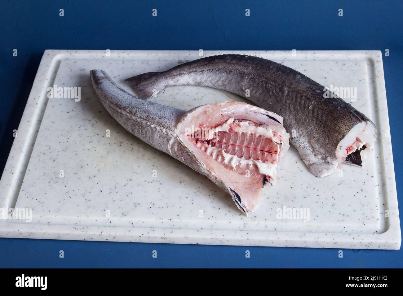 Two pieces of clean headless fresh whole Line-caught hake on a white ...