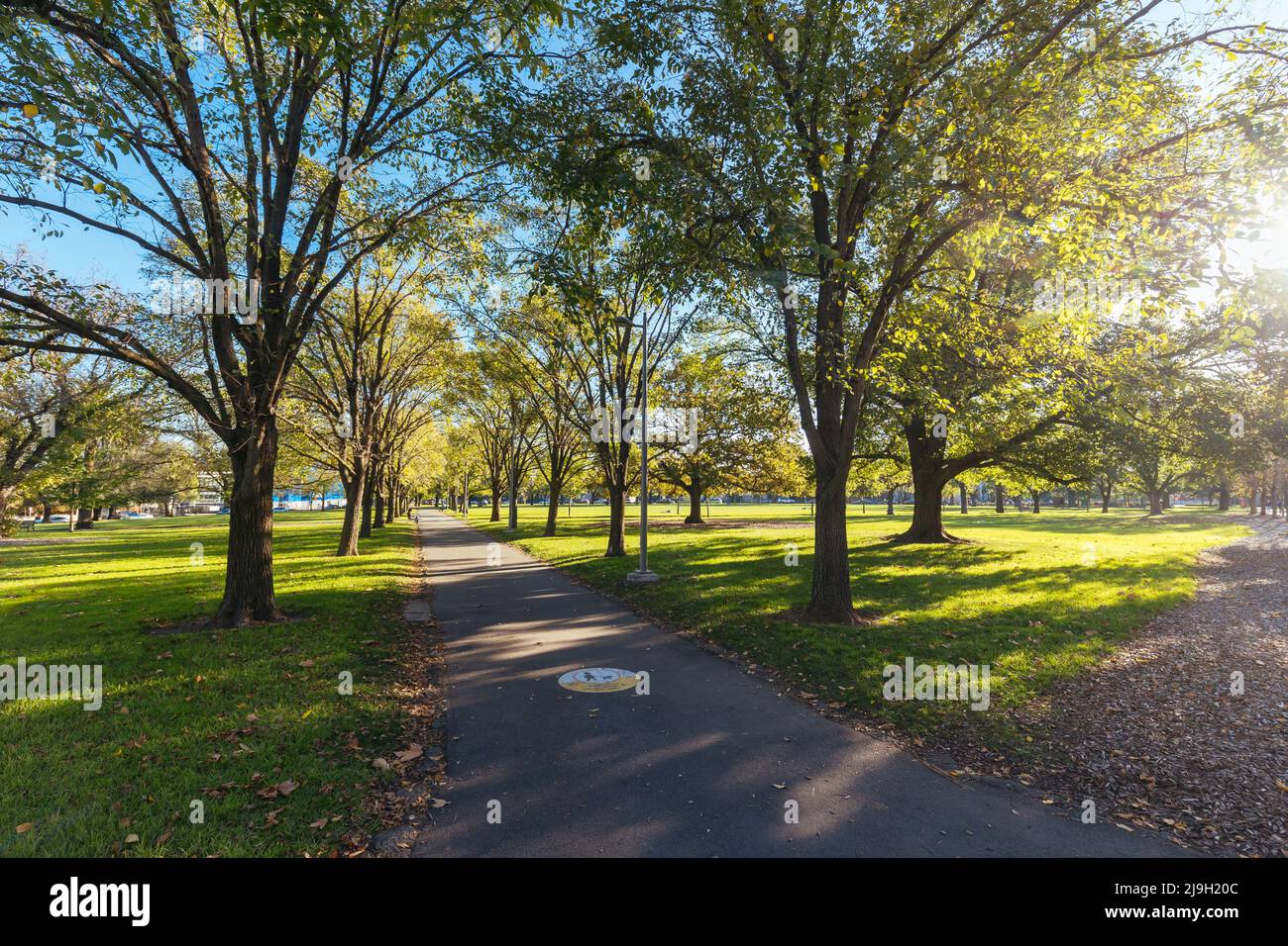 Darling gardens hi-res stock photography and images - Alamy