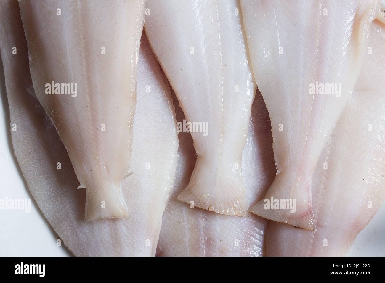 Fish tails hi-res stock photography and images - Alamy