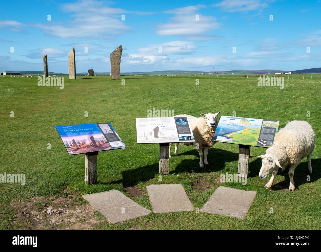 The stones of stenness hi-res stock photography and images - Alamy