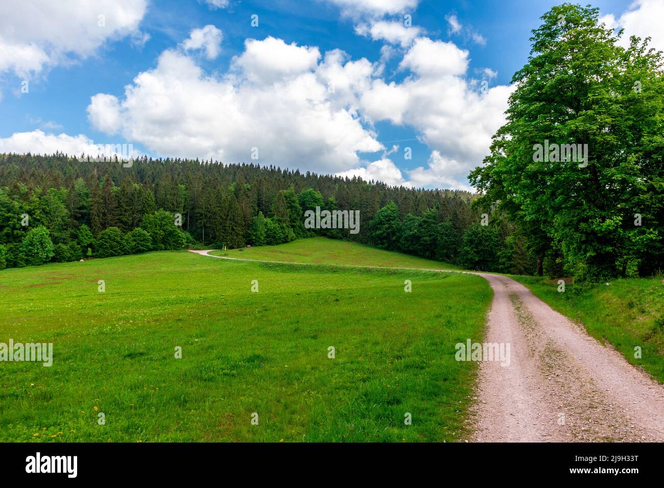 Hike to the high moor near Oberhof in the Thuringian Forest - Thuringia ...