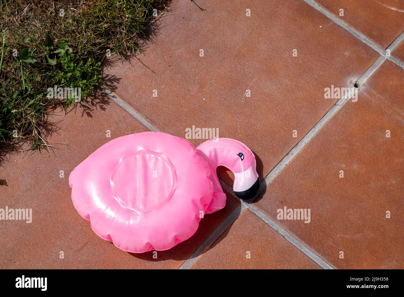 small pink flamingo float deflated on the edge of a swimming pool Stock ...