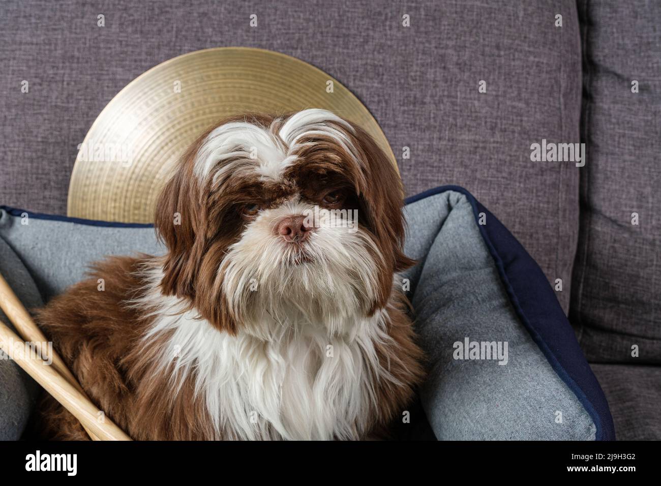 Disdain hi-res stock photography and images - Alamy