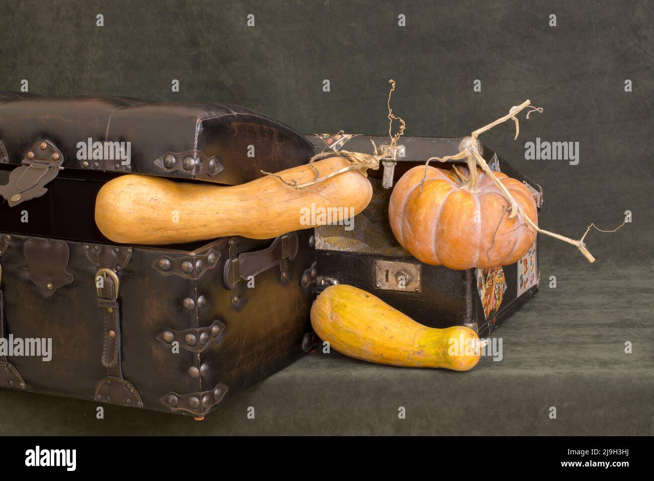 An old suitcase and a chest with pumpkins Stock Photo - Alamy
