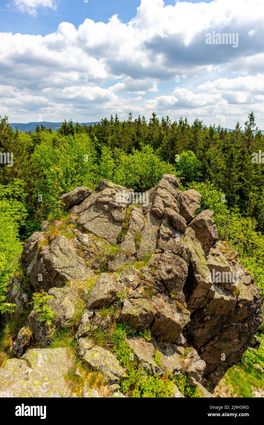 Hike to the high moor near Oberhof in the Thuringian Forest - Thuringia ...