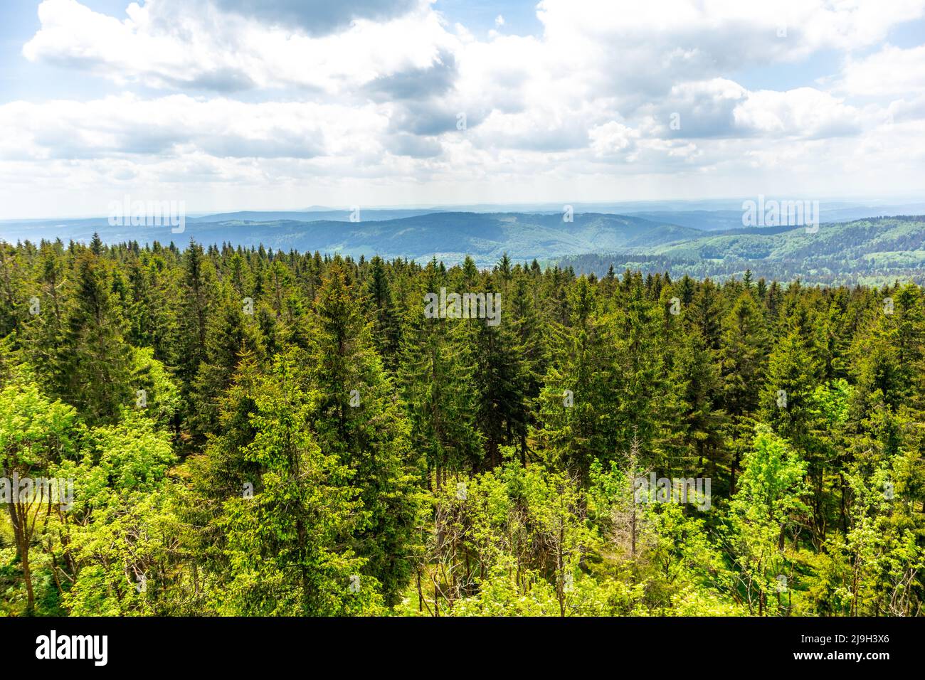 Hike to the high moor near Oberhof in the Thuringian Forest - Thuringia ...