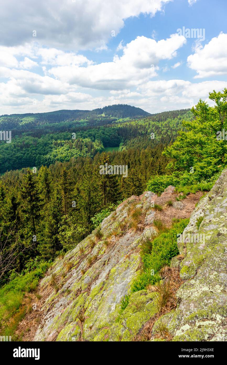 Hike to the high moor near Oberhof in the Thuringian Forest - Thuringia ...