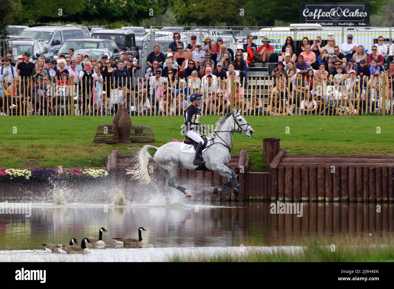 Tom Jackson - Capels Hollow Drift - Cross Country at Badminton Horse ...