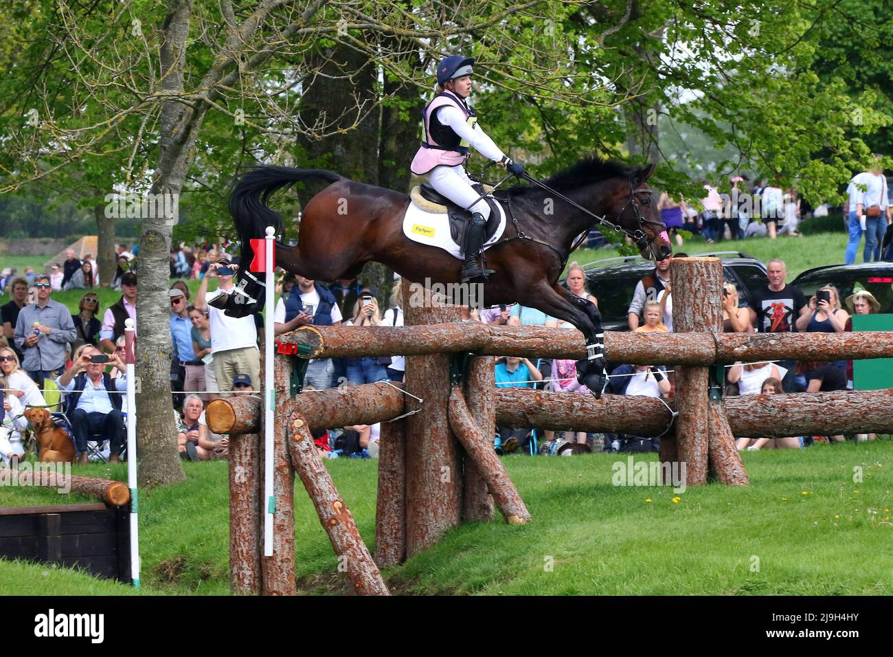 Felicity Collins - RSH Contend Or - Cross Country at Badminton Horse ...