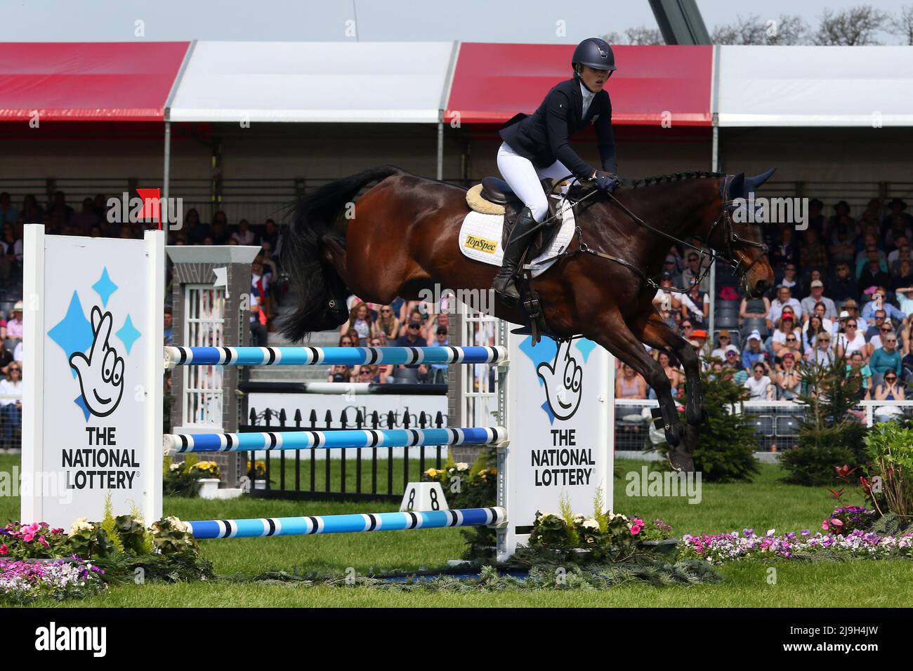 Felicity Collins - RSH Contend Or - Show Jumping at Badminton Horse ...