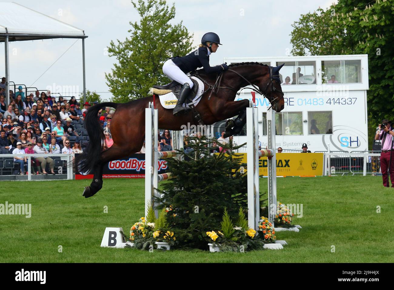 Felicity Collins - RSH Contend Or - Show Jumping at Badminton Horse ...