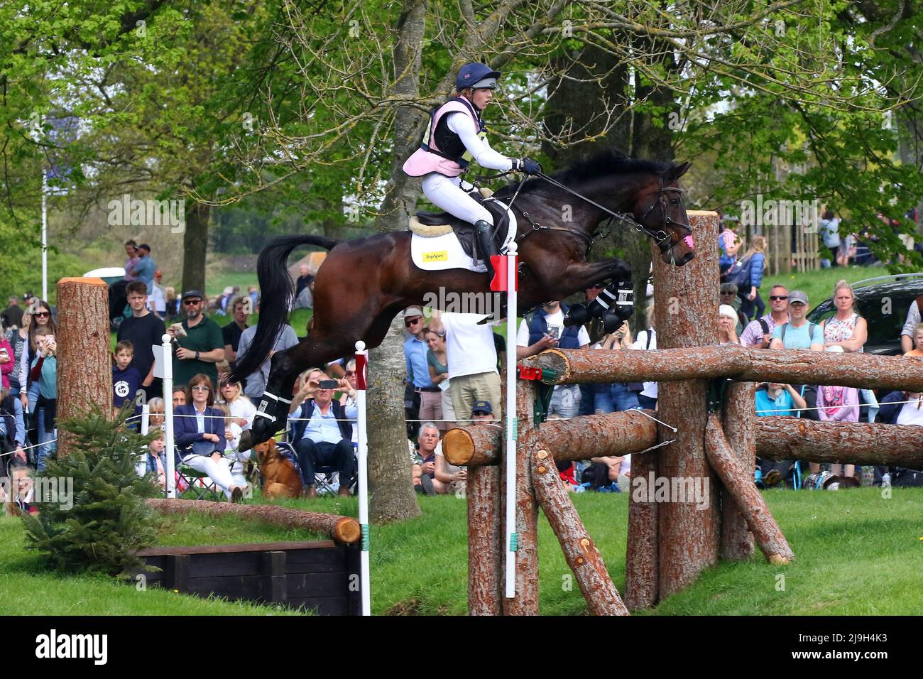 Felicity Collins - RSH Contend Or - Cross Country at Badminton Horse ...