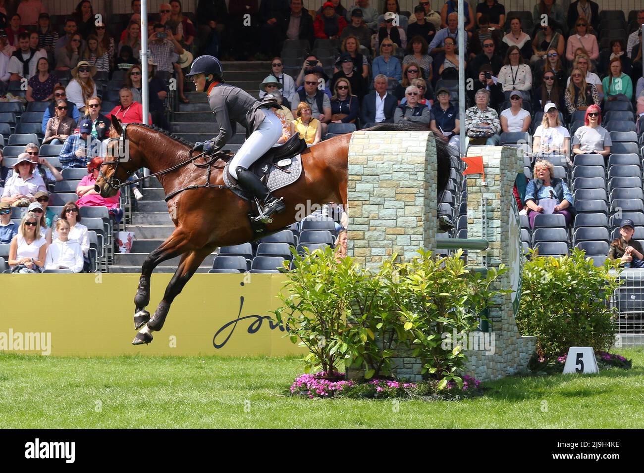 Bubby Upton - Cola III - Show Jumping at Badminton Horse Trials 2022 ...
