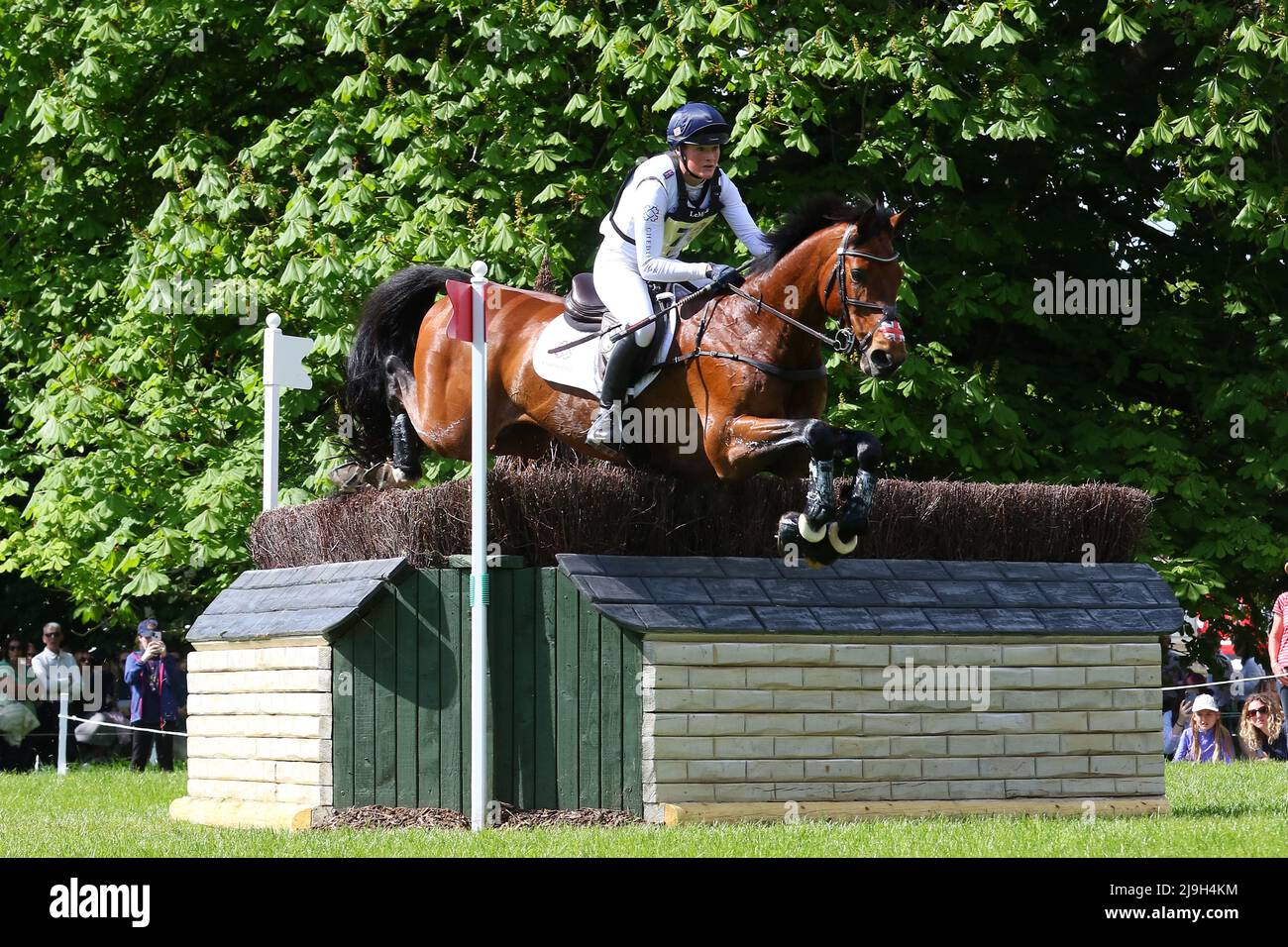 Bubby Upton - Cola III - Cross Country at Badminton Horse Trials 2022 ...
