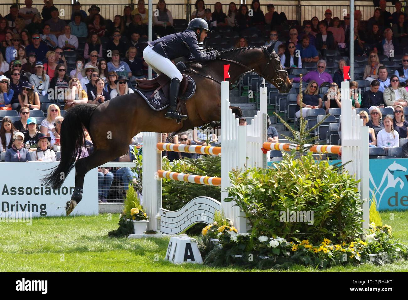Ugo Provasi - Shadd'OC - Show Jumping at Badminton Horse Trials 2022 ...