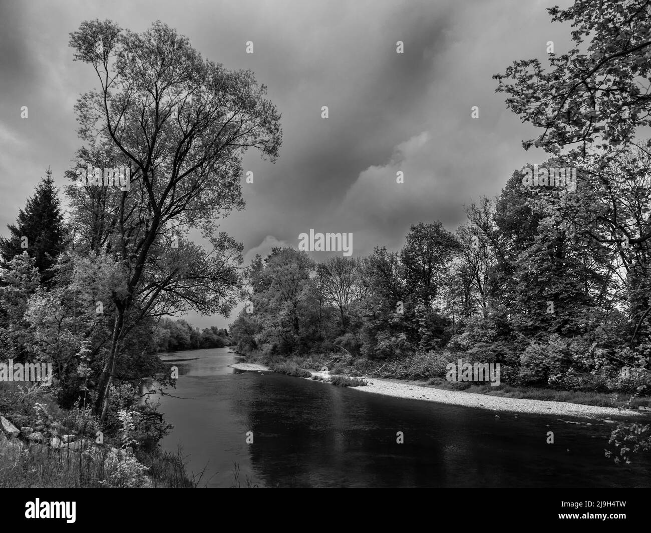 Spring season black and white hi-res stock photography and images - Alamy