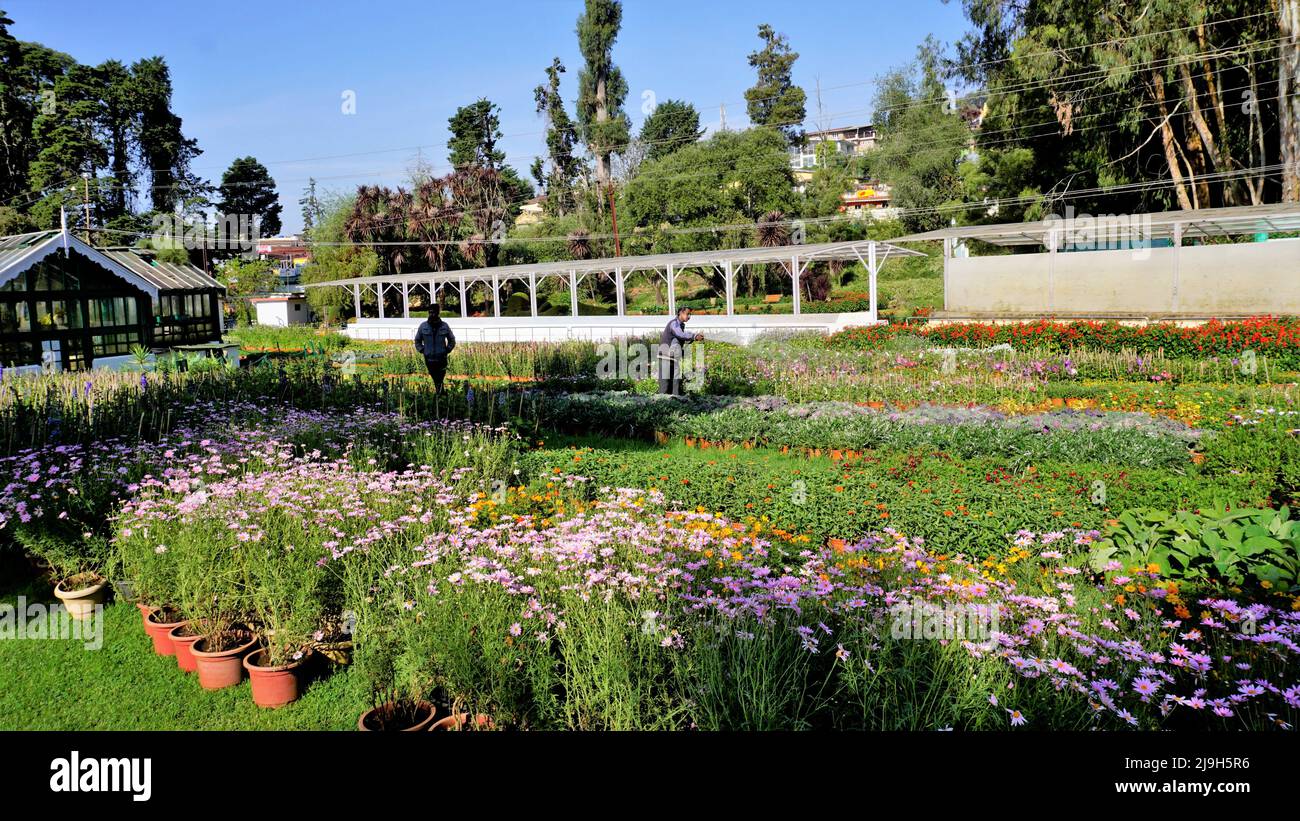 Ooty,Tamilnadu,India-April 30 2022: Beautiful Government botanical ...