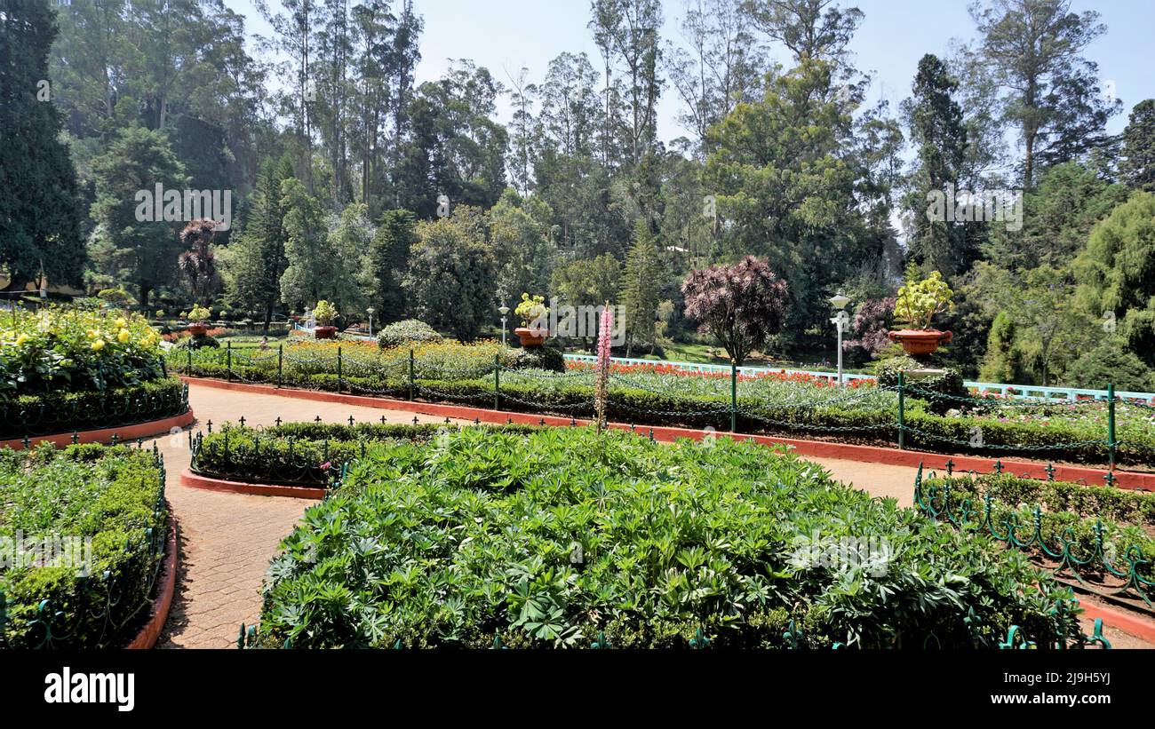 Ooty,Tamilnadu,India-April 30 2022: Beautiful Government botanical ...