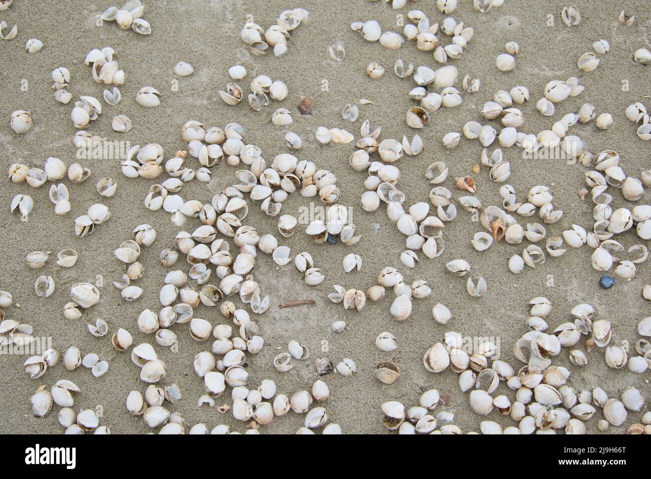 White water wallpaper hi-res stock photography and images - Alamy