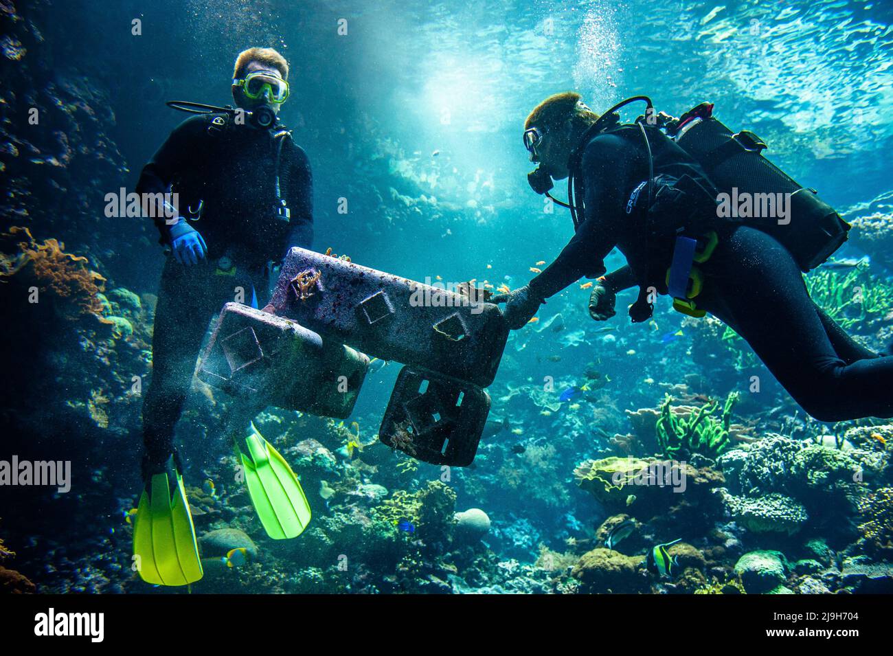 Arnhem, Netherlands, 23/05/2022, Divers from the zoo are seen holding ...